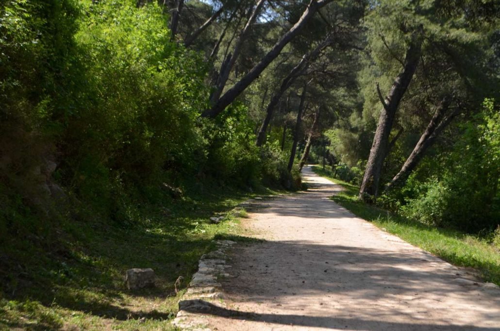 Parcours Enchanteur : Les Sentiers de Petka Dévoilés - DÉCOUVREZ DUBROVNIK